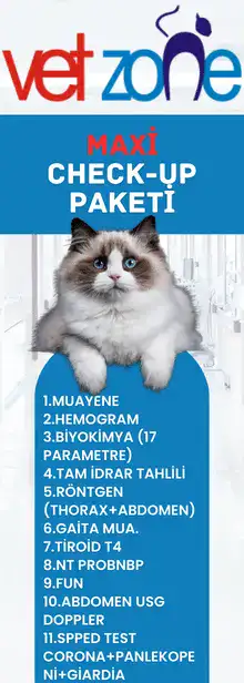 Kedi Check Up Paketleri | Vet Zone Veteriner Kliniği